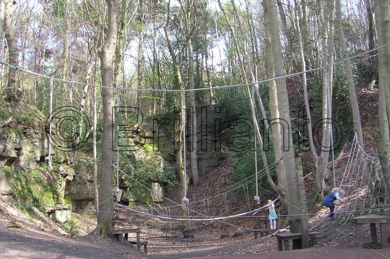 low rope natural play - Brillianto Images